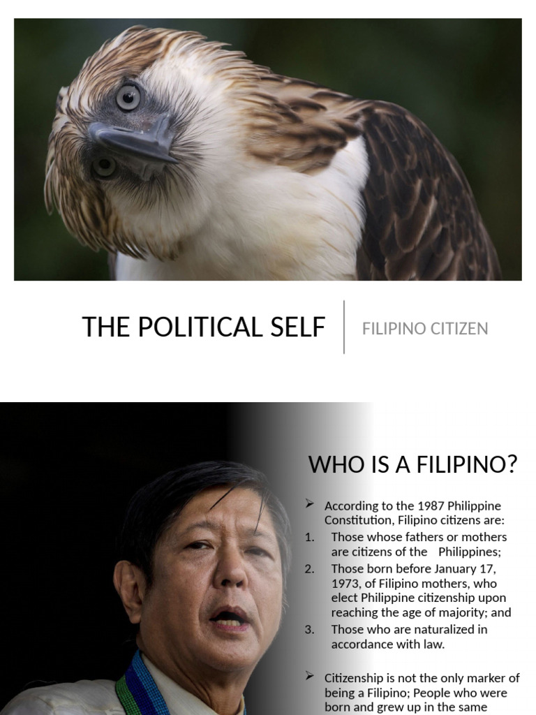The-Political-Self | PDF | Philippines | Social Psychology