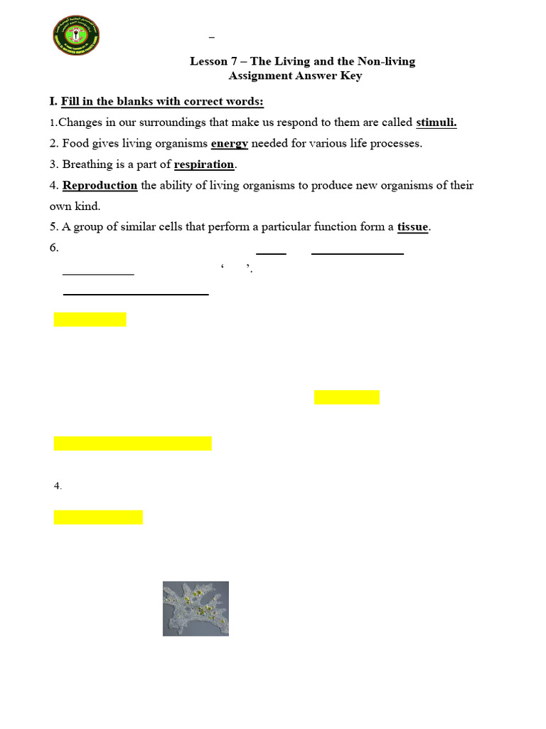 Science Assignment Answer Key VI | PDF | Biology | Organisms