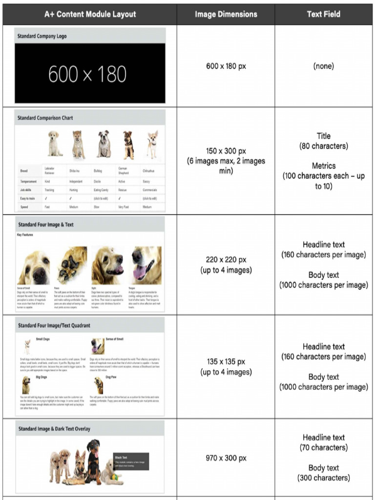 A+ Size Guide | PDF