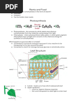 Testing Leaves For Starch | PDF | Photosynthesis | Leaf
