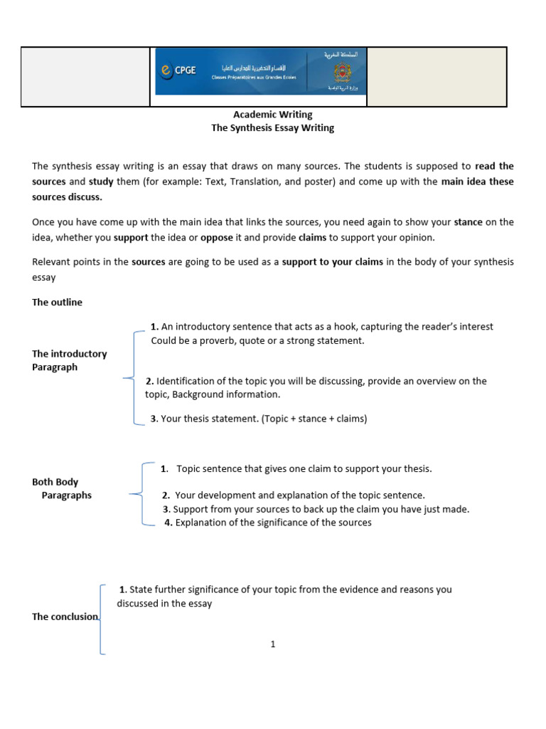 Synthesis Essay Writing Guide | PDF