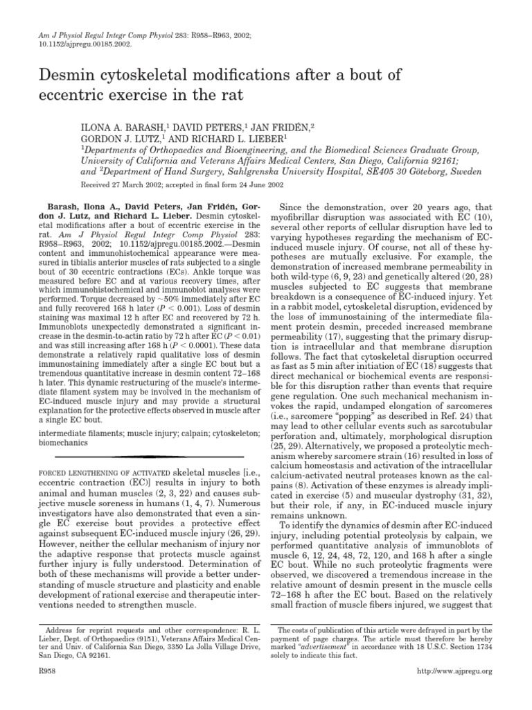 Desmin Cytoskeletal Modifications After A Bout of | PDF | Skeletal ...