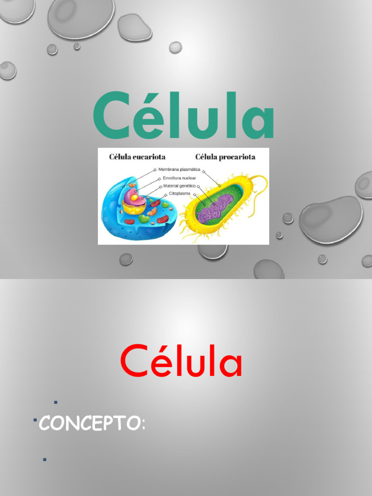 Celula y Tipos de Celula | PDF