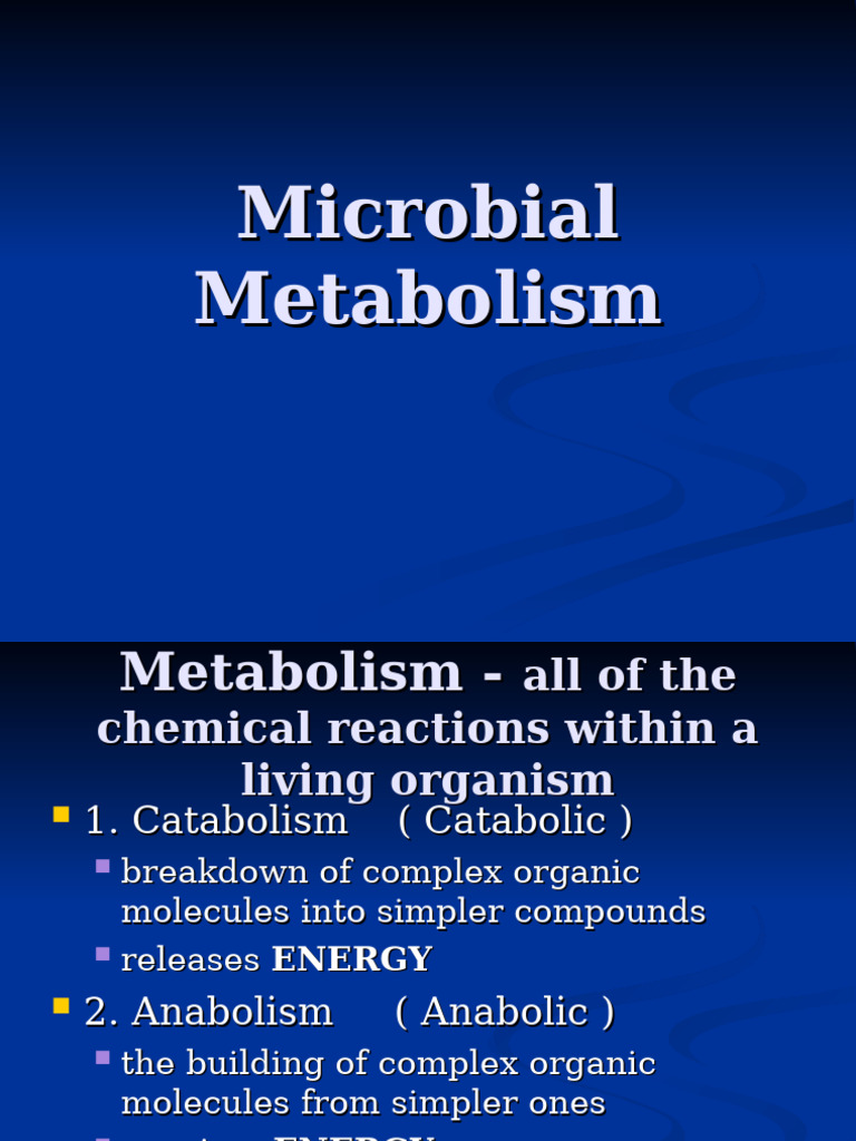 5 Microbial Metabolism | PDF | Cellular Respiration | Enzyme