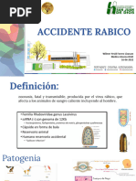 Guía de Profilaxis Antirrábica Humana | PDF | Rabia | Biología