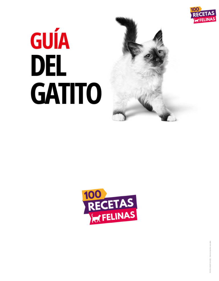 Guia Del Gatito PDF | PDF