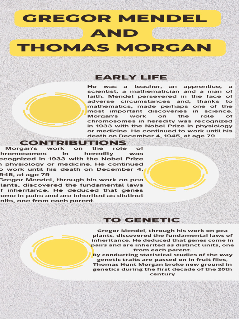 Mendel and Morgan: Pioneers of Genetics | PDF