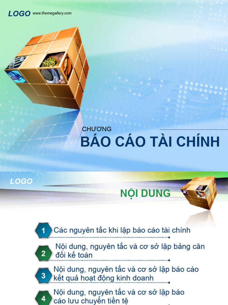 Chương BCTC | PDF