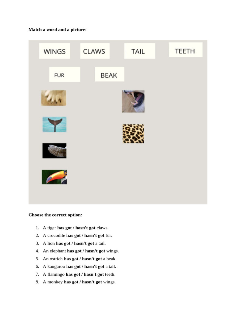 Match a word and a picture | PDF