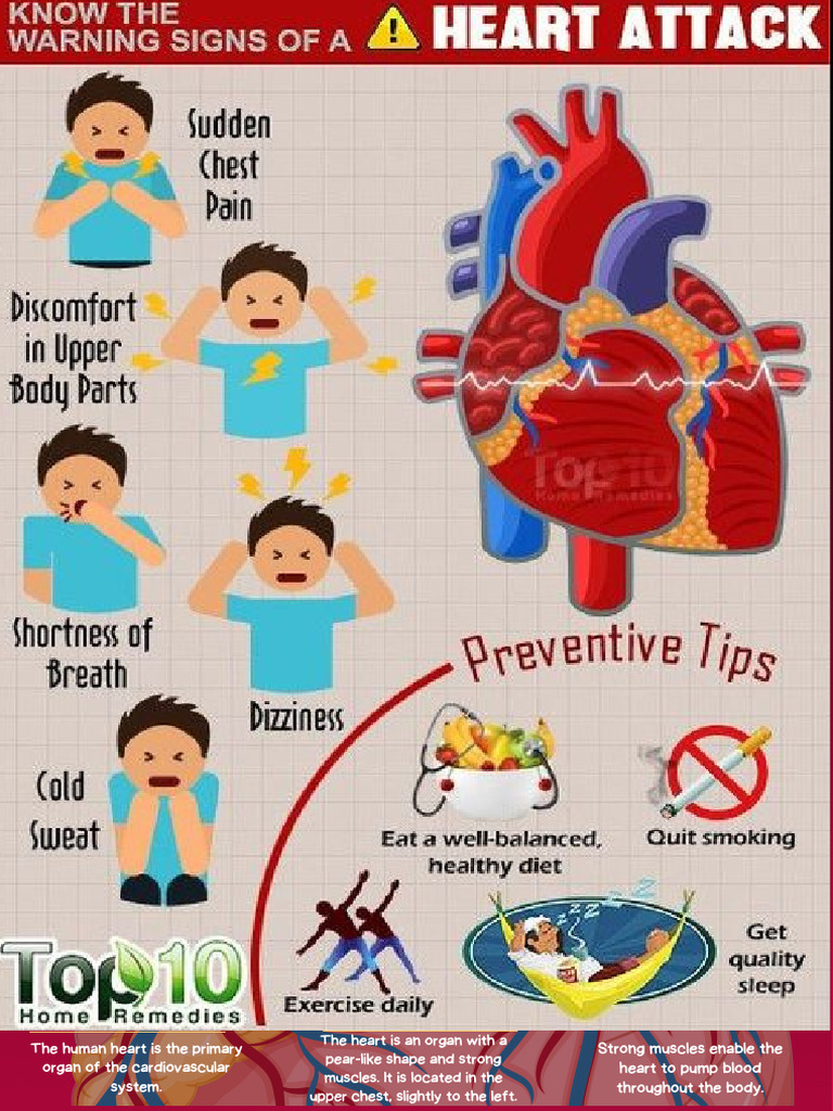 Red and Yellow Bold Modern Science The Human Heart Infographic (A4) | PDF