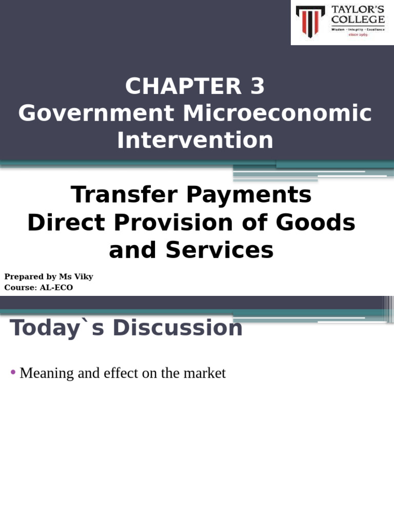 4 - Transfer Payments Direct Provision of Goods and Services | PDF ...