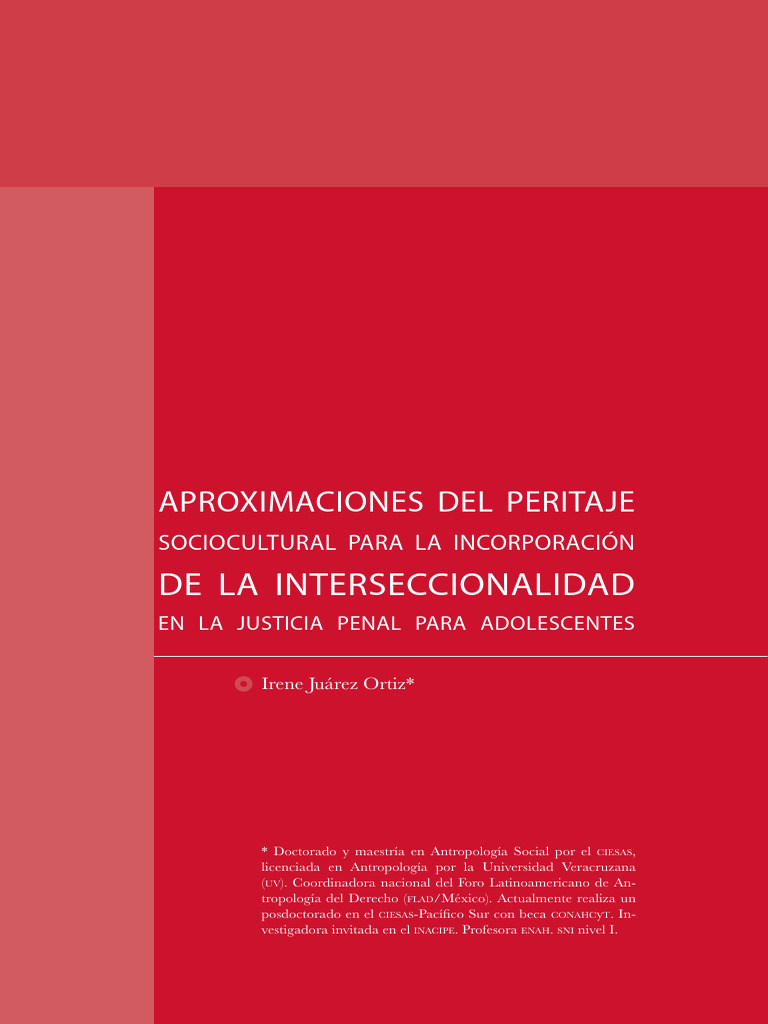 Justicia Penal Adolescente y Antropología | PDF | Interseccionalidad ...