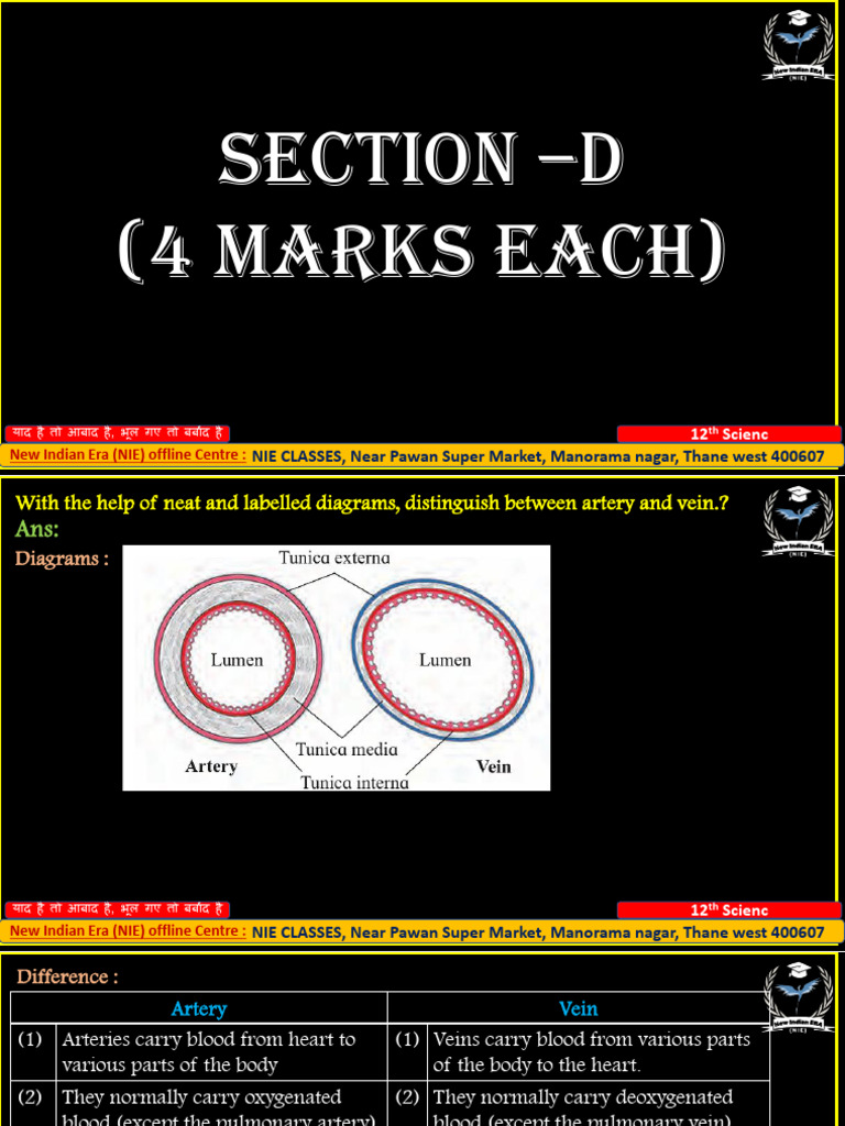 4 Marks Each (Biology) | PDF | Menstrual Cycle | Vein