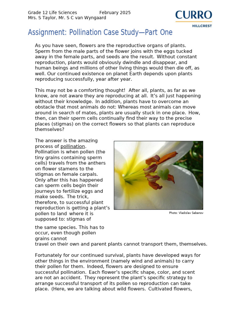 Assignment - Pollination - Case Study (Gr.12 | PDF | Flowers | Pollination