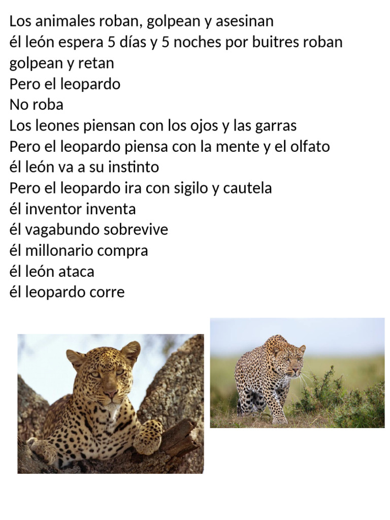 Oda Al Leopardo | PDF