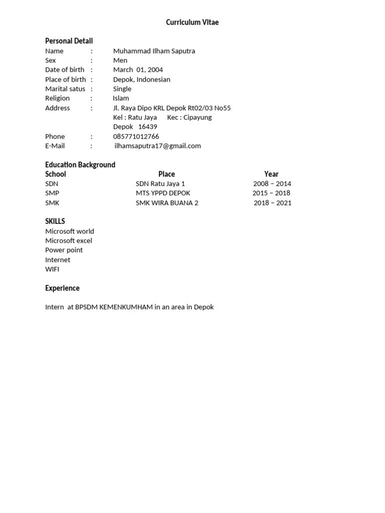 Muhammad Ilham Saputra CV | PDF