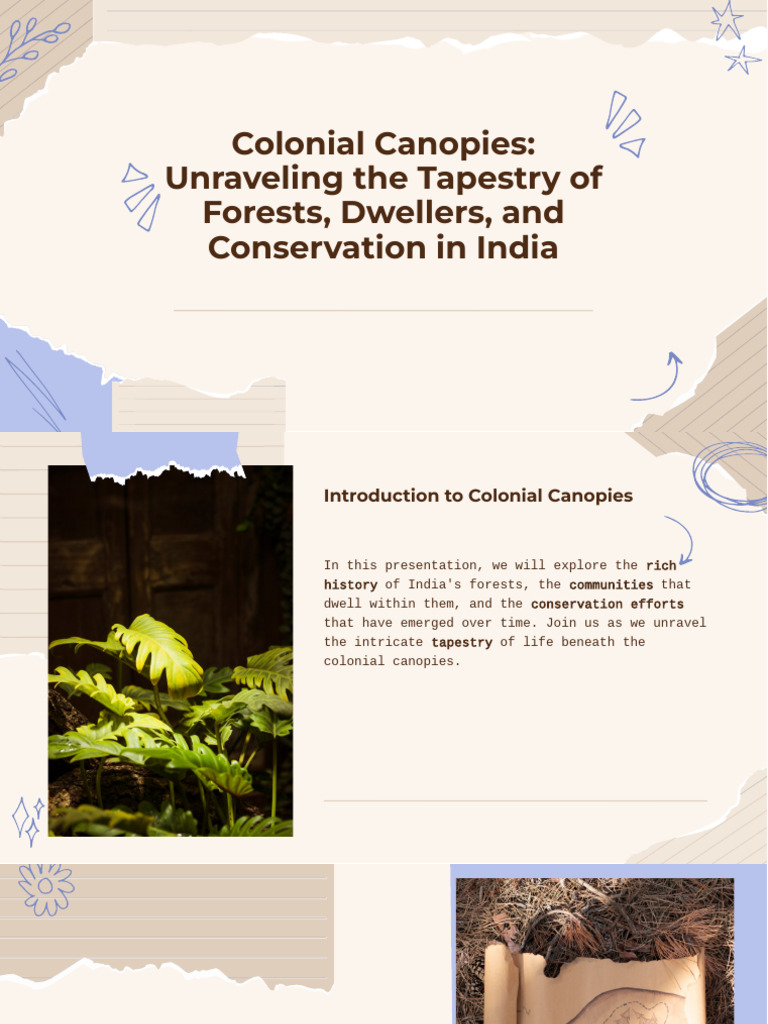 Slidesgo Colonial Canopies Unraveling The Tapestry of Forests Dwellers ...