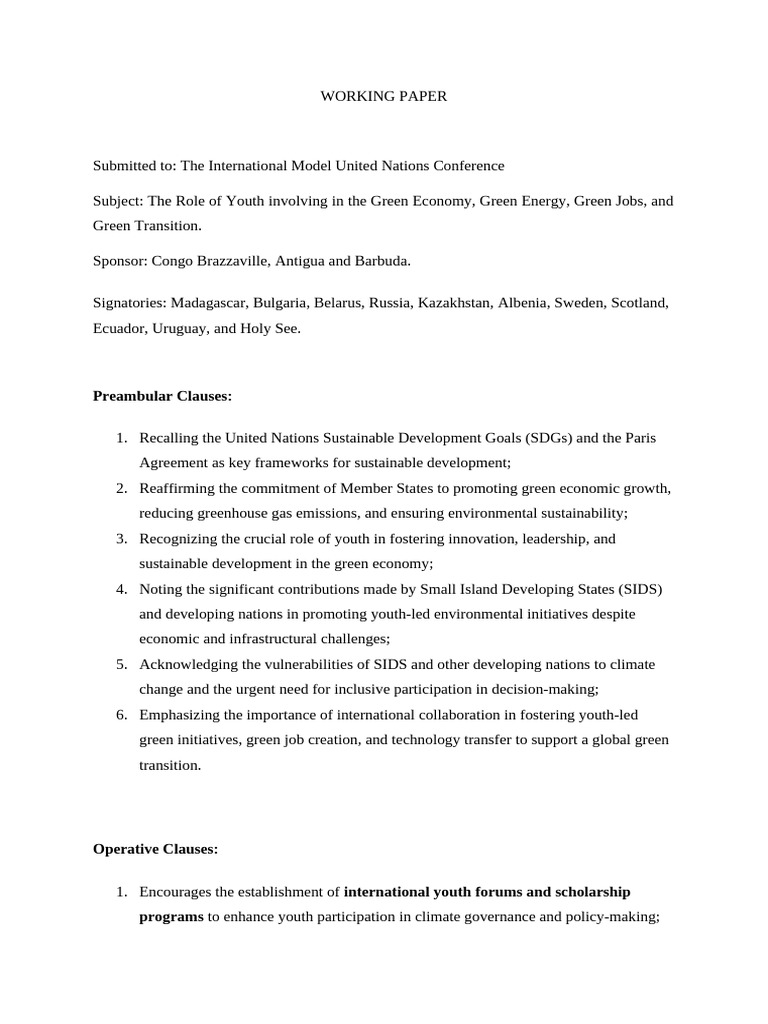 WORKING PAPER BY CONGO[1] | PDF | Sustainability | Green Economy