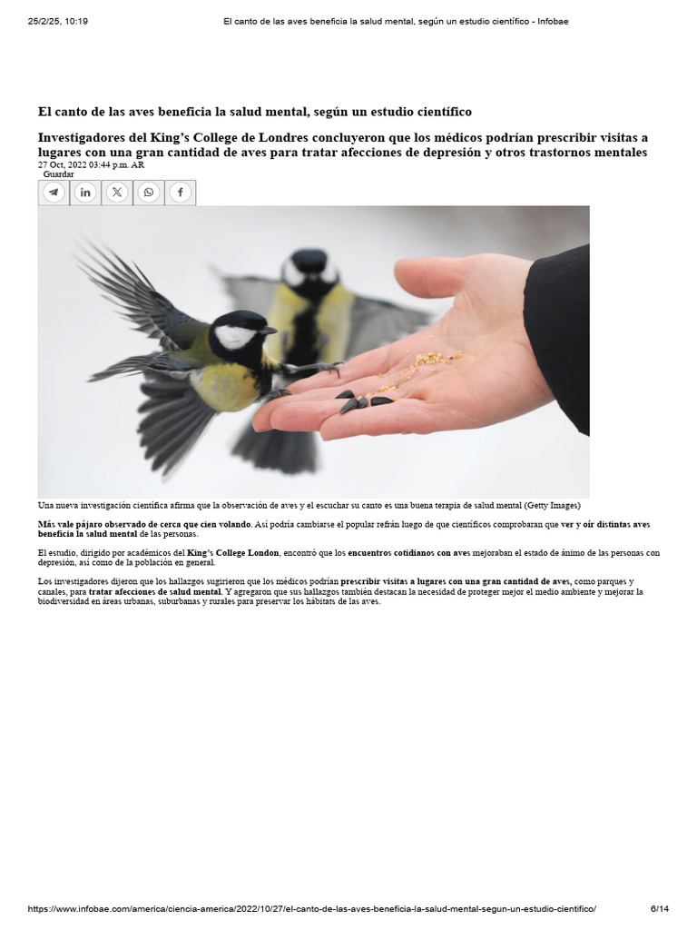 Canto de aves mejora salud mental | PDF | Depresión (estado de ánimo ...
