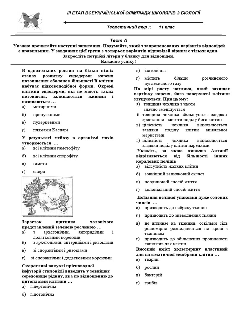 2020 - Test - Zavd - 10-11 KL | PDF