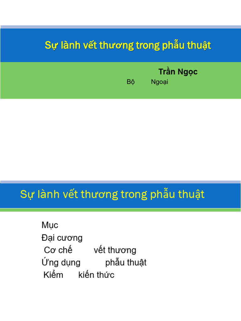 Su Lanh VT | PDF