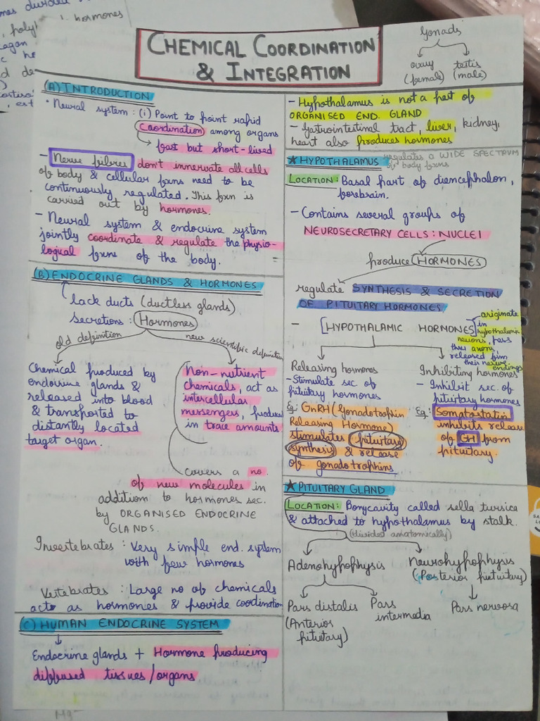 NCERT-Based Chemical Coordination and Integration Notes | PDF