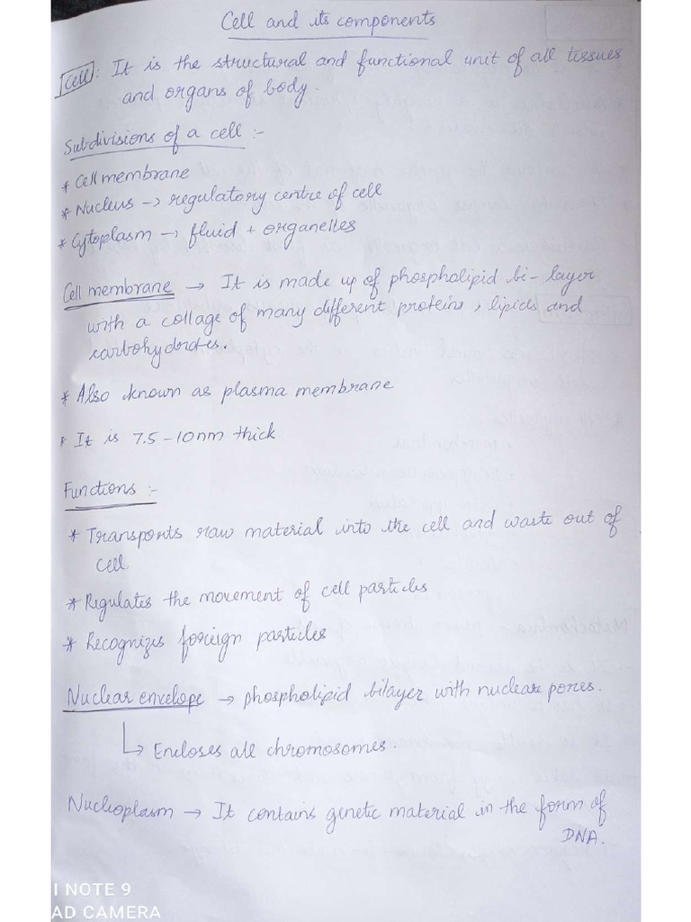 Anatomy Assignment | PDF