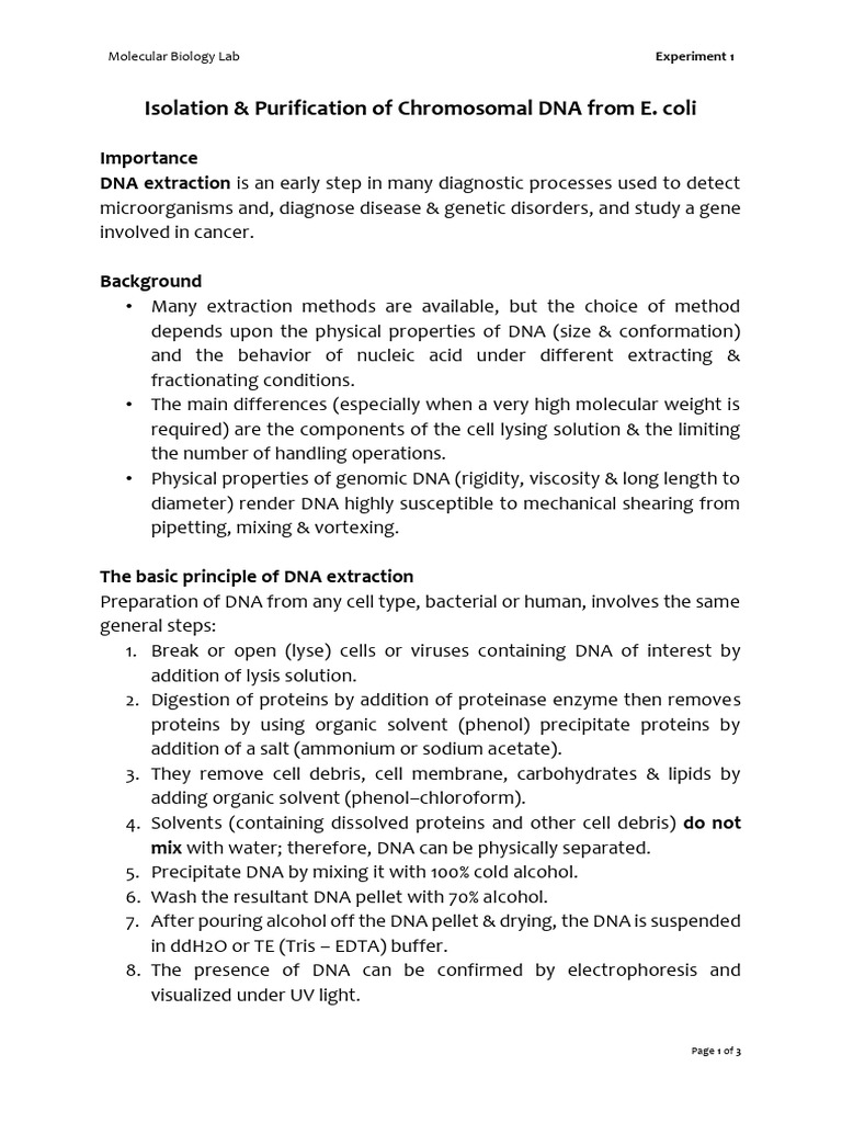 DNA Extraction from E. coli Protocol | PDF | Lysis | Dna