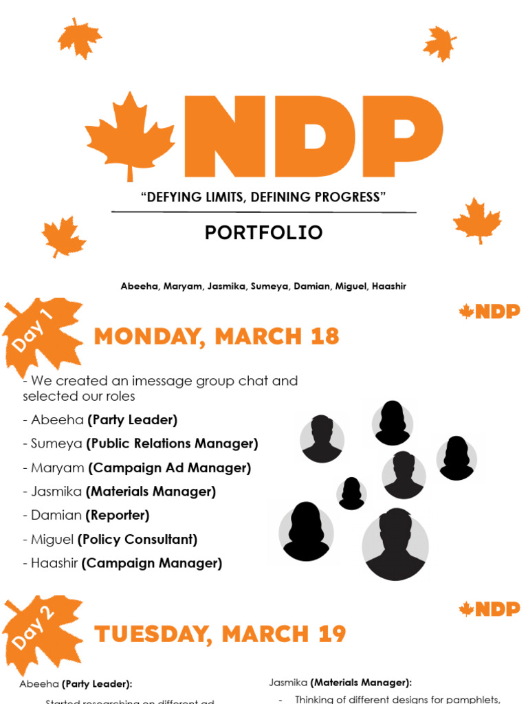 Campaign Progress Portfolio Overview | PDF