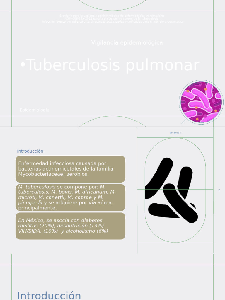 TUBERCULOSIS PULMONAR | PDF | Tuberculosis | Medicina