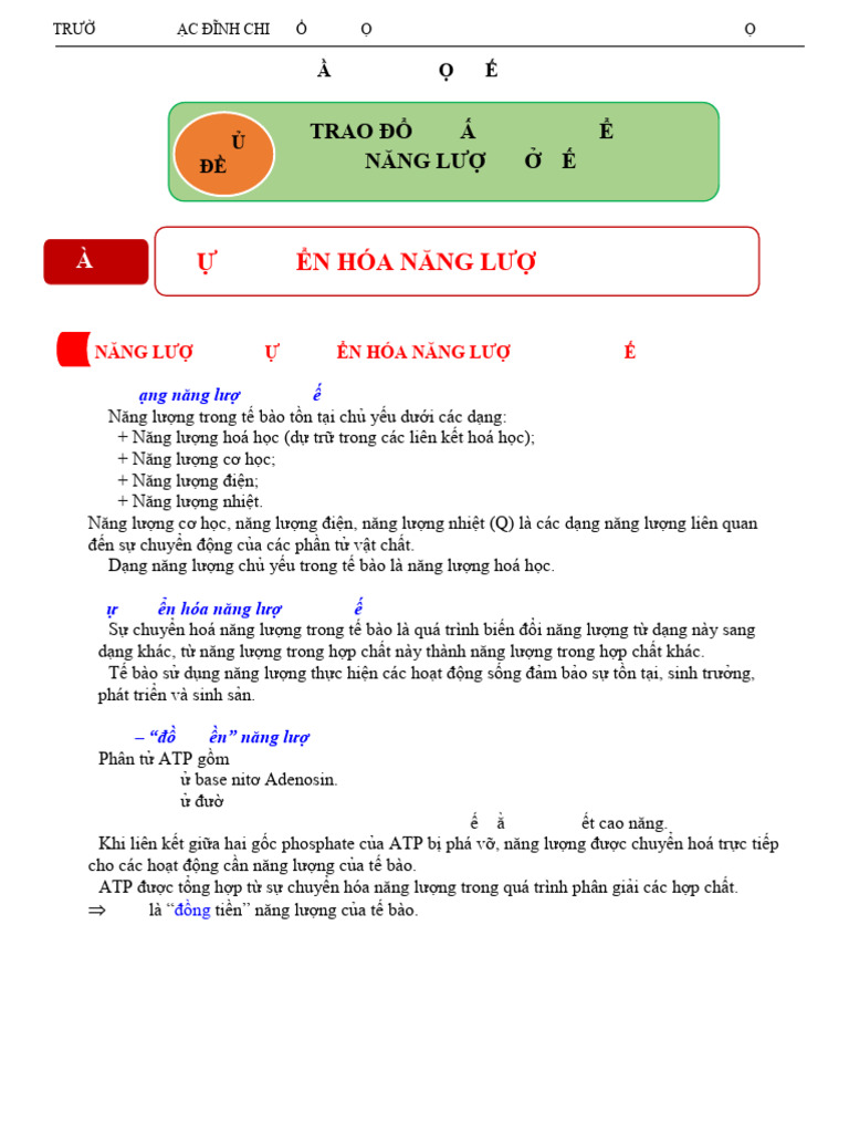 Bai 10 - Su Chuyen Hoa Nang Luong Va Enzyme | PDF