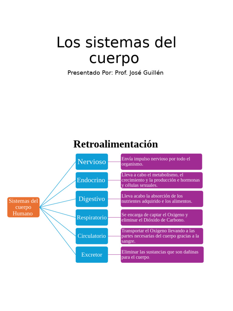 Los Sistemas Del Cuerpo | PDF