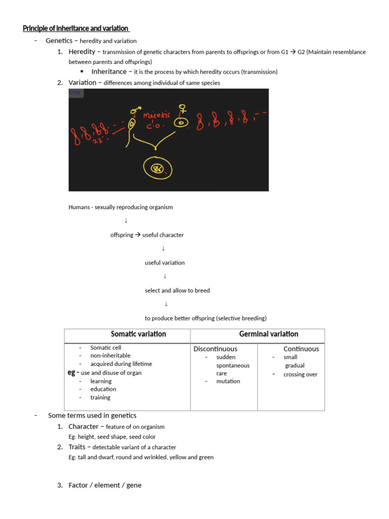 Principle of Inheritance and Variation | PDF | Dominance (Genetics) | Zygosity
