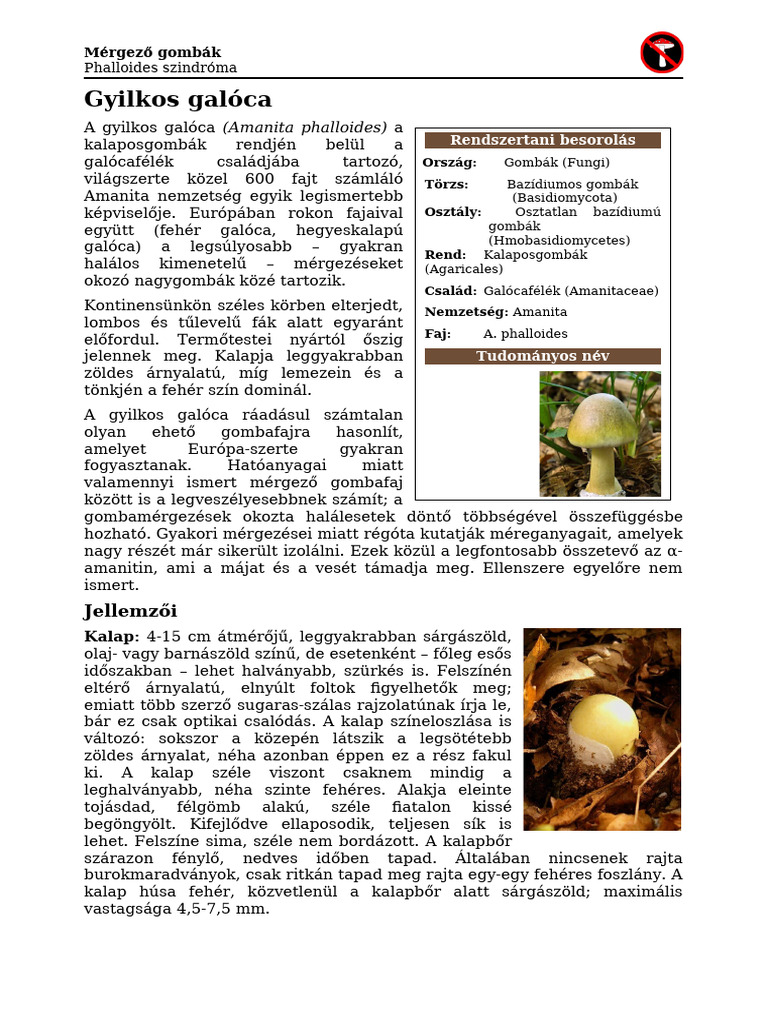 gyilkos_galoca | PDF