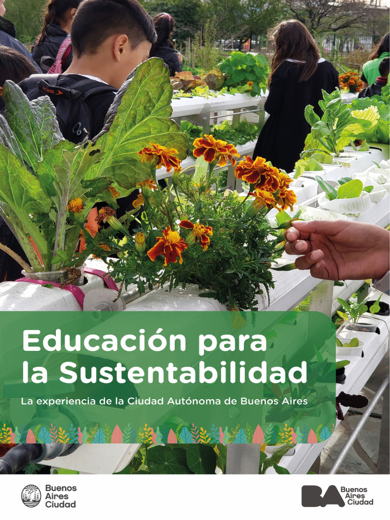 Educacion Para La Sustentabilidad Pdf Sustentabilidad Enseñando