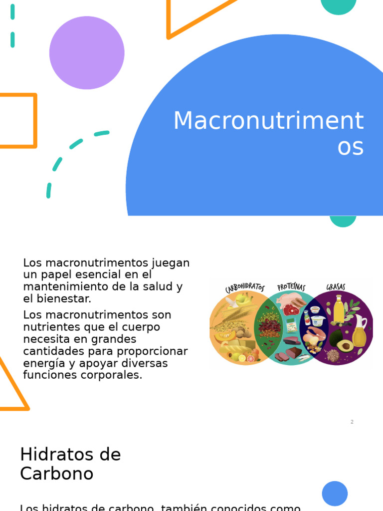 Guía sobre Macronutrientes Esenciales | PDF | Digestión | Lípido