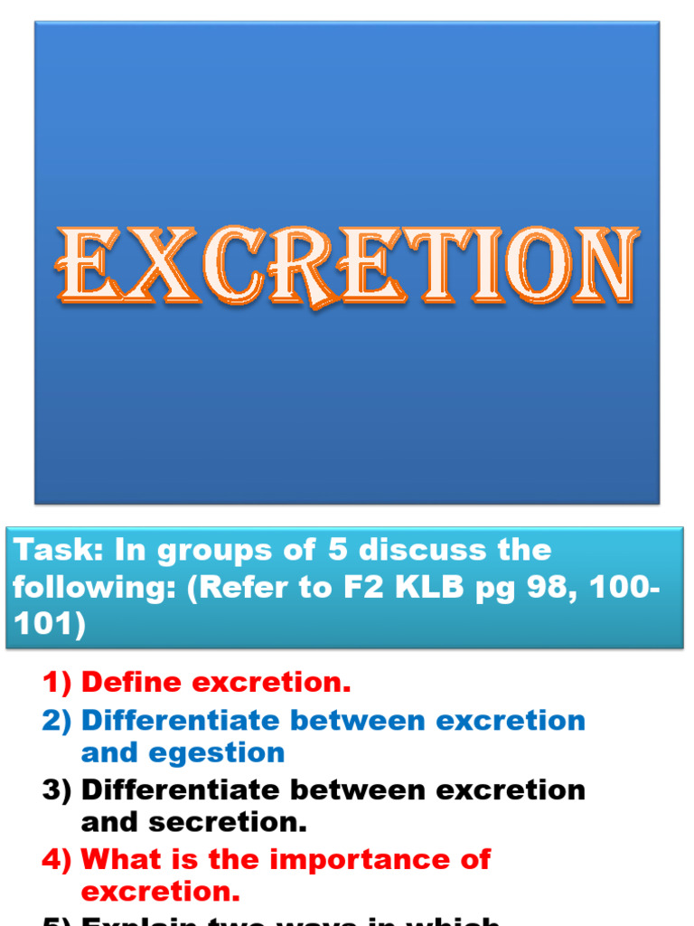 Biology Crystal Super Notes F2 Excretion - Power Point Notes | PDF ...