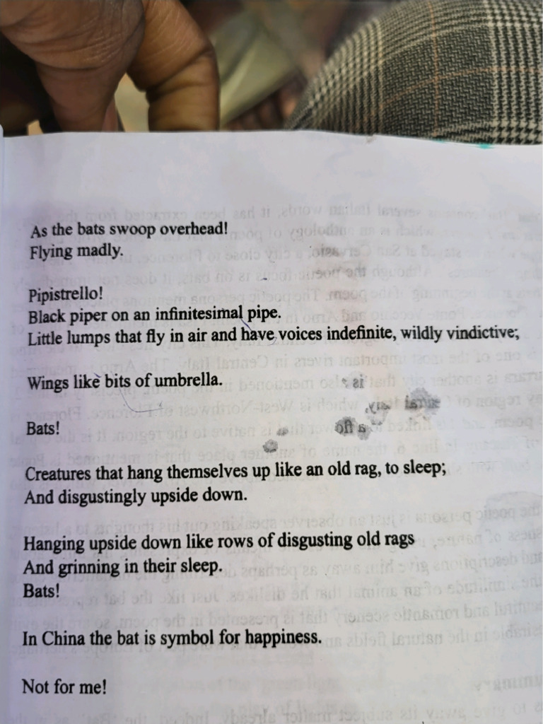 PDF Phoenix 20250224 134015 | PDF