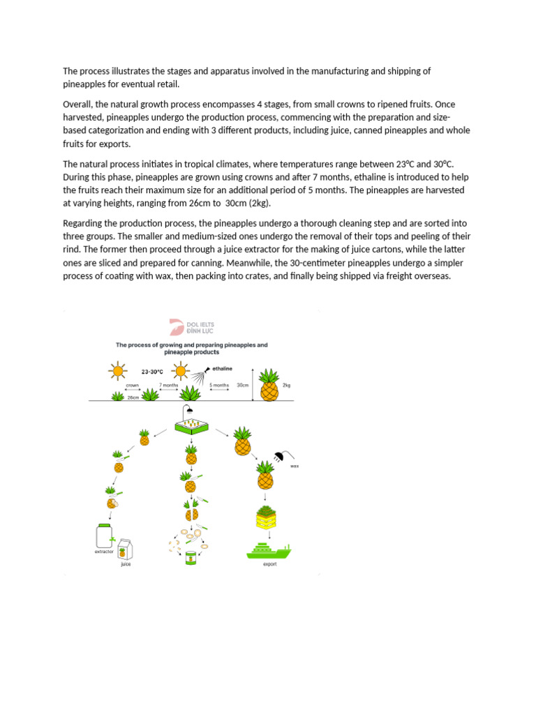 Task1 Process | PDF