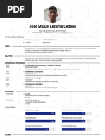 Currículo Marcelo Atualizado | PDF