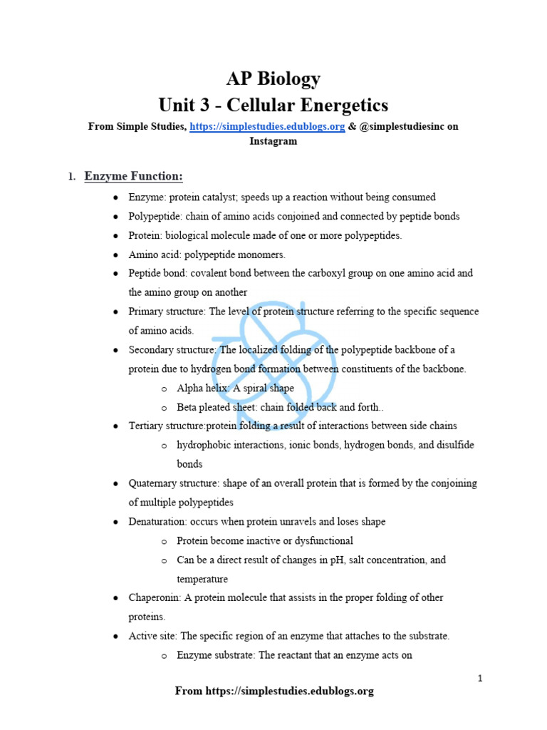609f63b56a65820d2736ebd9 - SS AP Biology Unit 3 | PDF | Enzyme ...