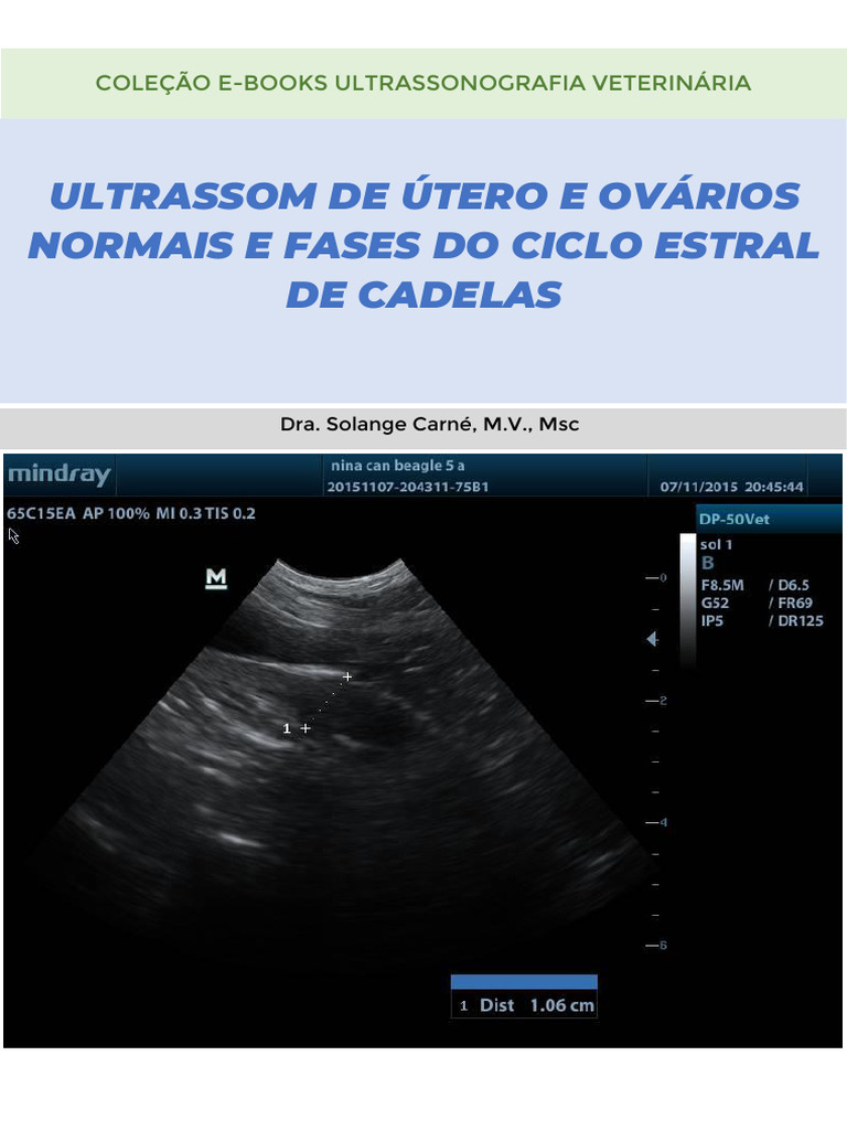 Ebook_ultrassom de Útero e Ovários Normais e Fases Do Ciclo Estral de Cadelas-1 | PDF | Sistema ...