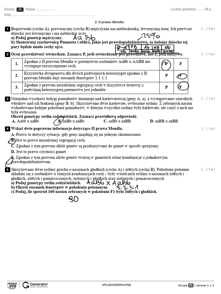 II Prawo Mendla Test (Z Widoczn - Punktacj - ) | PDF
