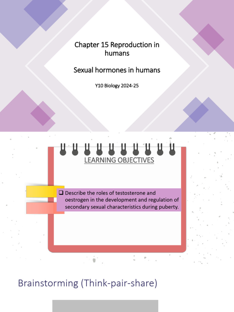 Chapter 15 Sexual Hormones in Humans 2024-25 | PDF | Menstrual Cycle ...