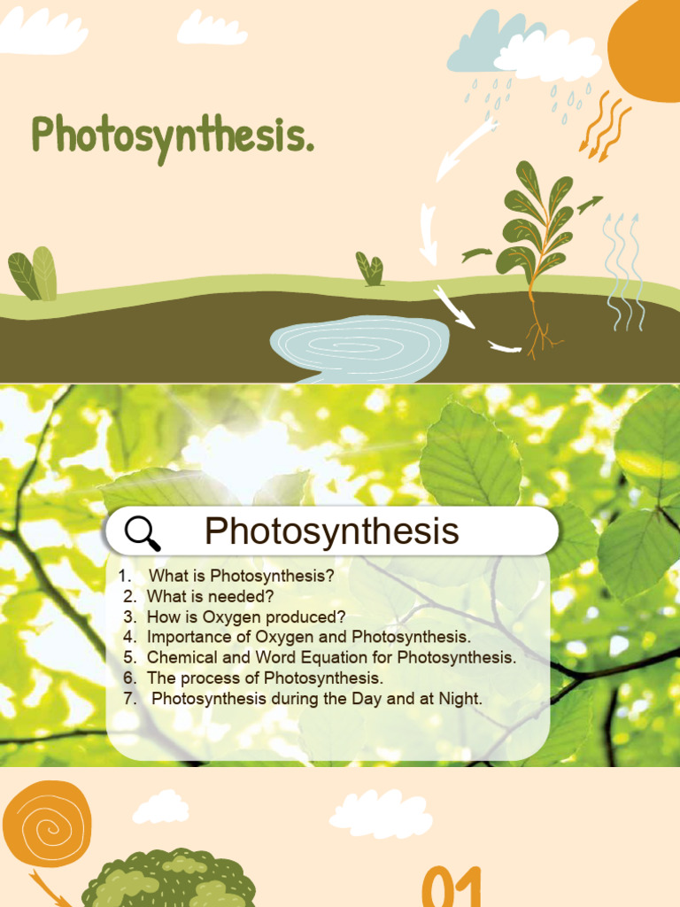 Photosynthesis Year9 Week1 | PDF | Photosynthesis | Oxygen
