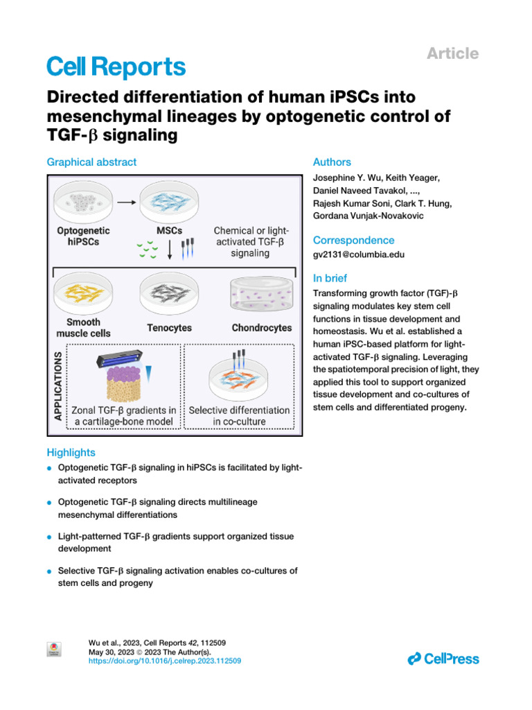 Ipsc Opto | PDF | Transforming Growth Factor Beta | Cellular ...