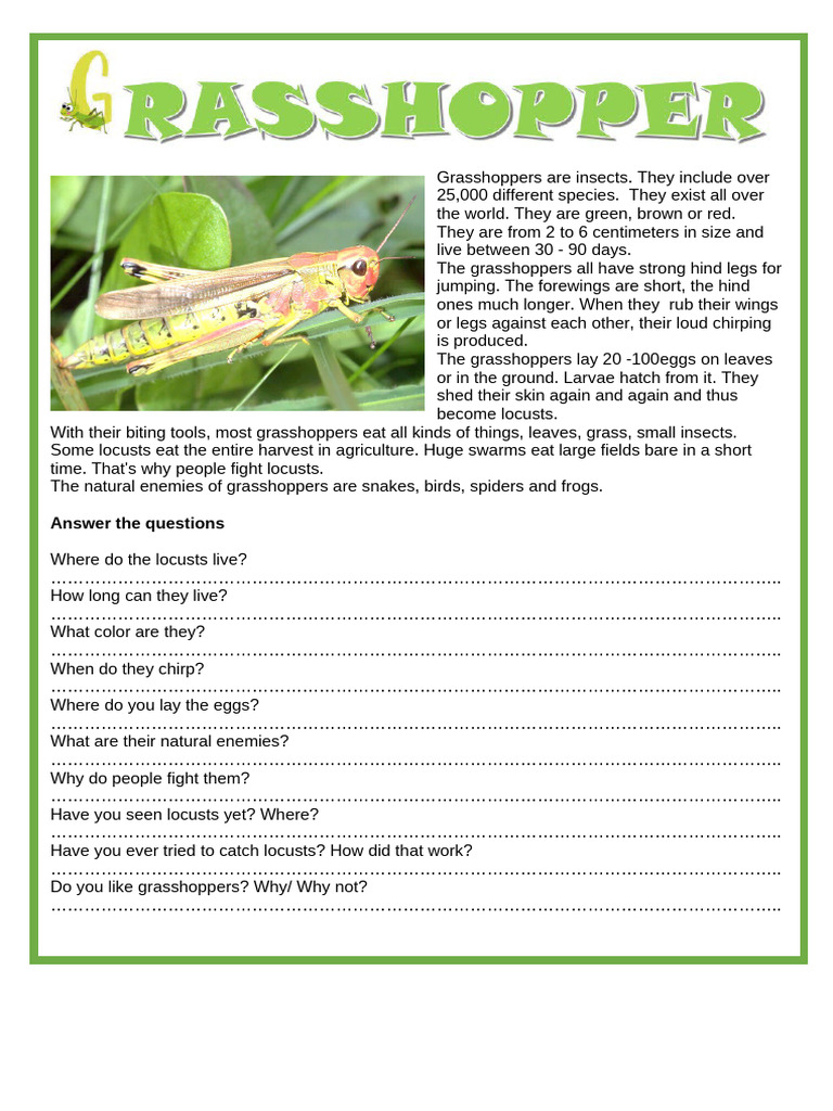 Easy Reading Grasshoppers - 160032 | PDF