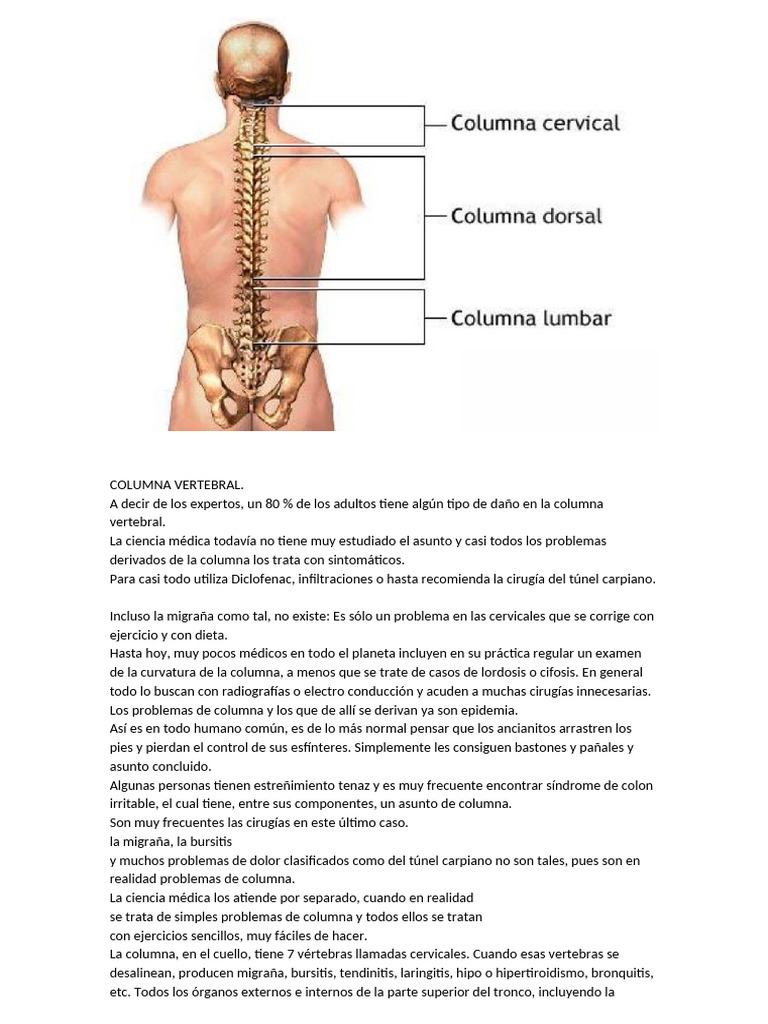 Columna Vertebraliii | PDF | La columna vertebral | Enfermedades y ...