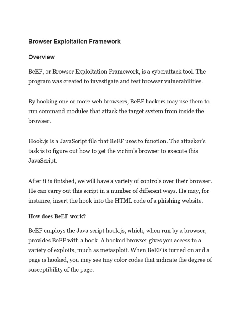 Browser Exploitation FW | PDF | Security | Computer Security