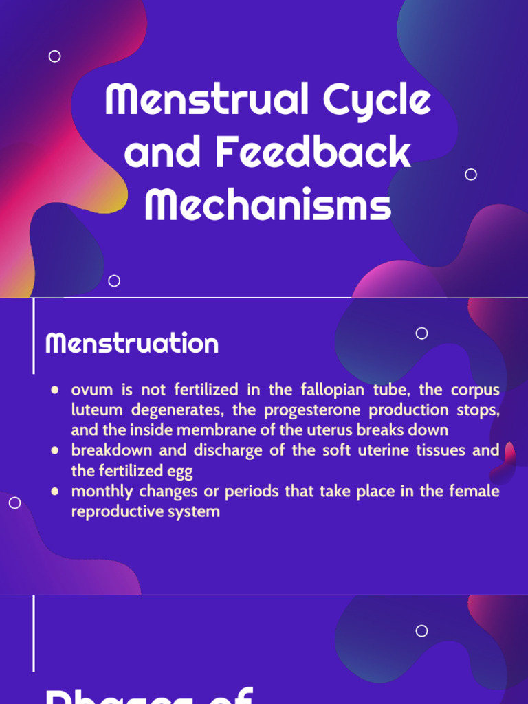 Lesson 4. Menstrual Cycle | PDF | Menstrual Cycle | Luteinizing Hormone